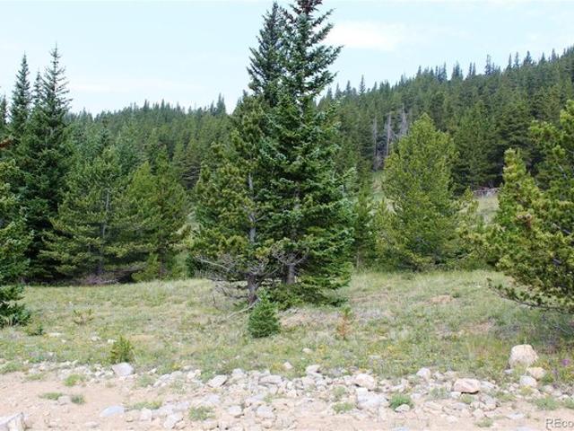 13620 Independence Lot 13620, Idaho Springs, CO 80461