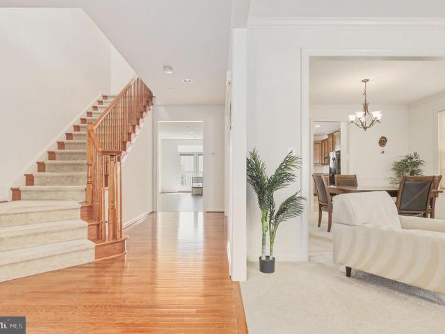 13621 Stargazer Lane