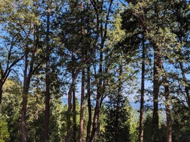 13625 Pegasus Pl, Nevada City, CA 95959