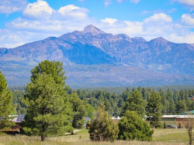 1362 Cool Pines Dr, Pagosa Springs, CO 81147