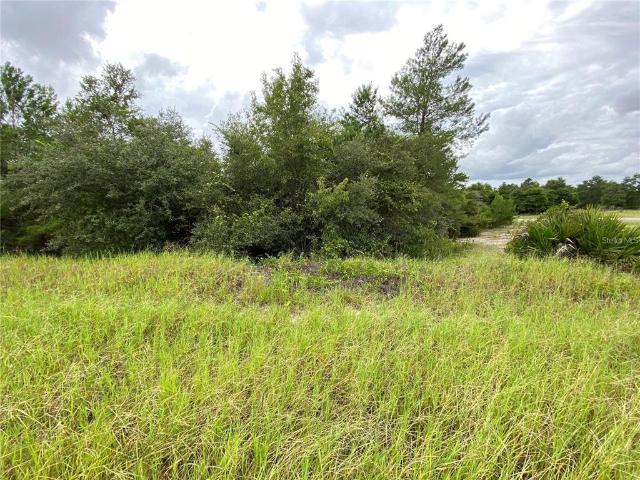 1362 Homosassa Dr, Kissimmee, FL 34759 | MLS #O6317 | Compass