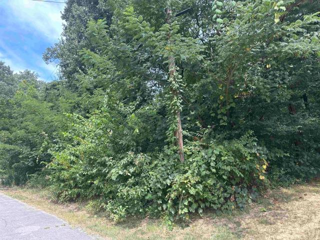 1362 s blackison cv