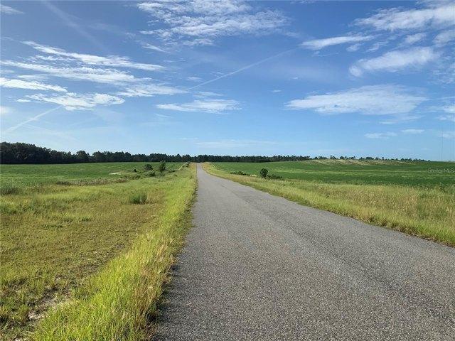 136th Ter, Morriston, FL 32668