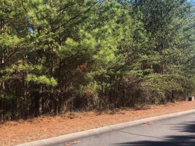 136 Cherokee Ridge Drive