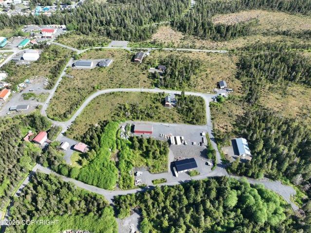 136 Arness Hights Dr, Petersburg, AK 99833