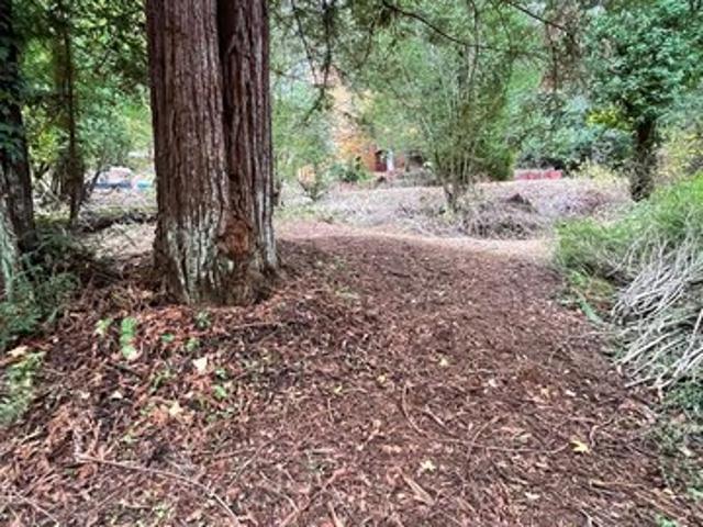 136 Lagunitas Rd, Lagunitas, CA 94938