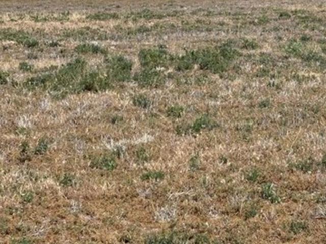 136 N 4139 E, Rigby, ID 83442