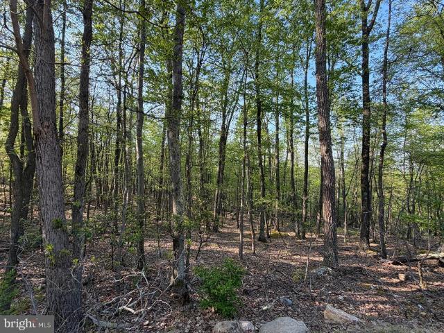 136 Spring Mountain Dr