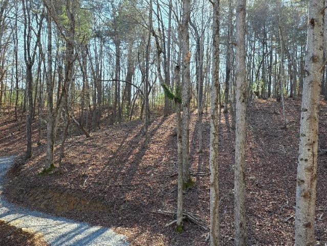 136 Red Oak Trail