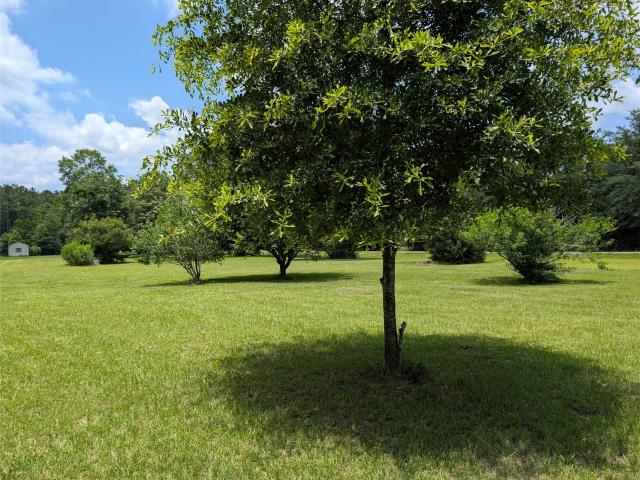 136 Tom Marsh Rd, Livingston, TX 77351 | Compass