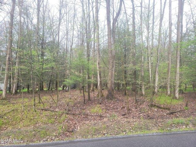 136 Troxell Spring Rd, Flinton, PA 16640
