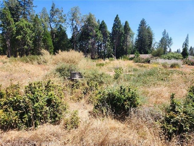 13744 W Park Dr, Magalia, CA 95954