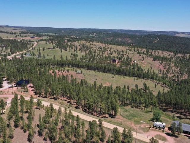 13752 Borglum Rd, Keystone, SD 57751