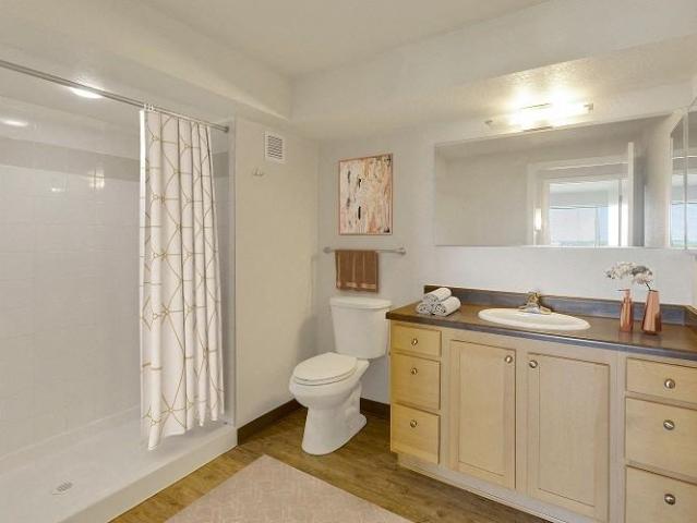 1375 High 2 Bedroom Apartment for Rent at 1375 N High St, Denver, CO 80218 Cheeseman Park