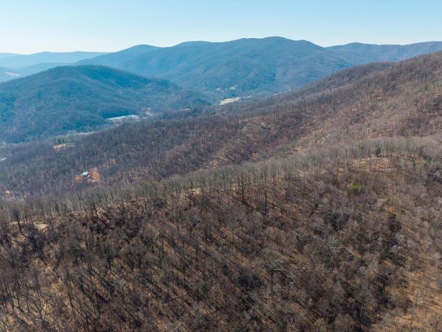 1376d wyatt mountain rd