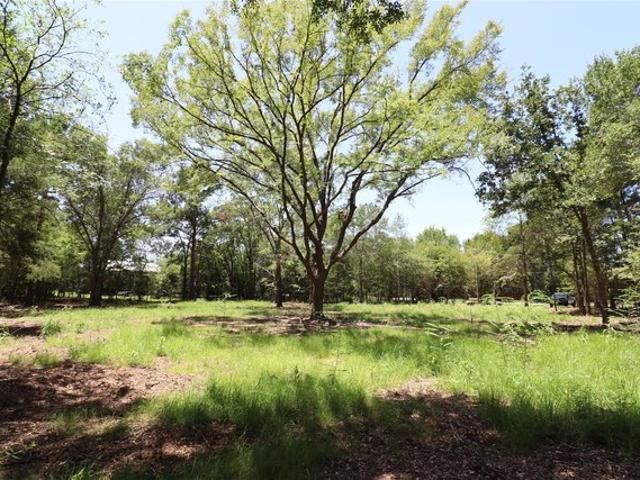 13774 Midway Dr, Willis, TX 77318