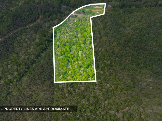 1377 Hurricane Creek Rd