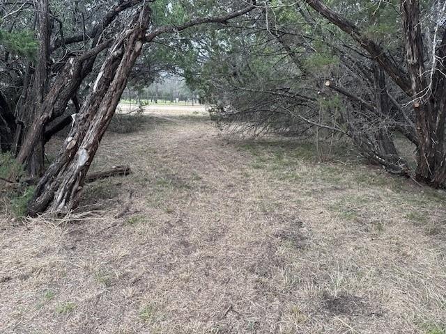 1377 Spring Valley Trl, Whitney, TX 76692