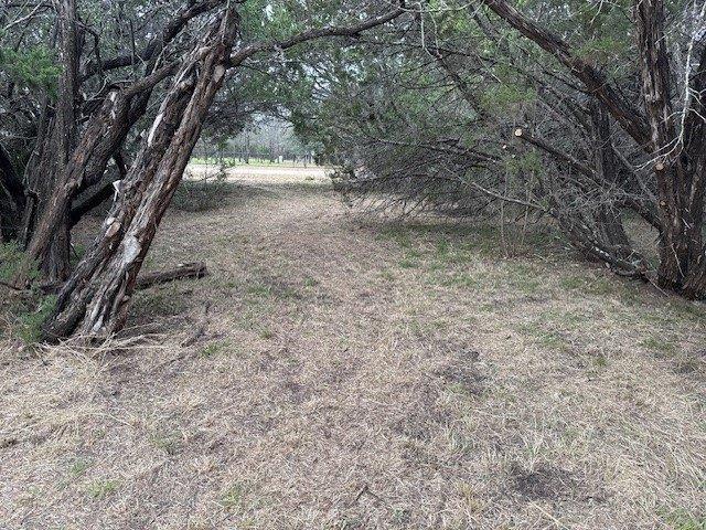 1377 Spring Valley Trl, Whitney, TX 76692