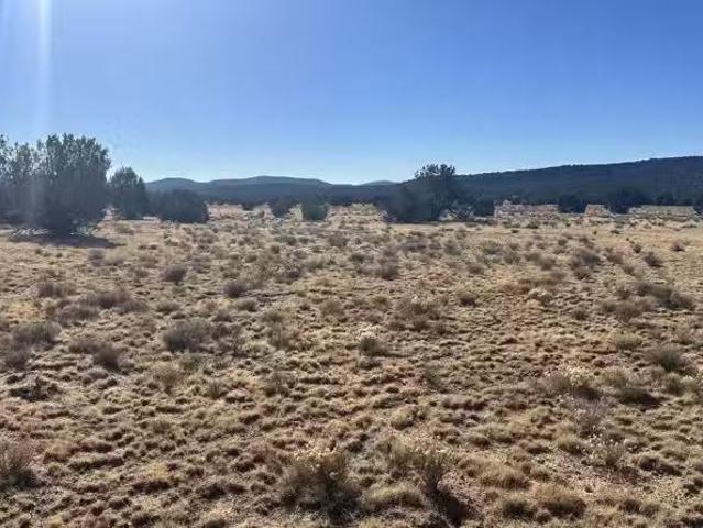 1377 W Sunset Dr, Seligman, AZ 86337 MLS 022363