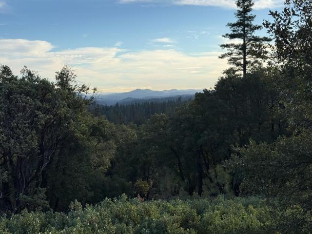 13787 Manion Canyon Rd, Grass Valley, CA 95945 | MLS #225154 | Compass