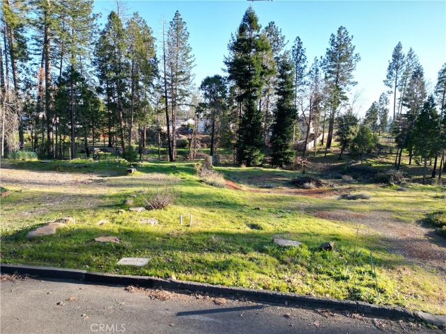13788 Ferguson Dr, Magalia, CA 95954 | MLS #SN26009