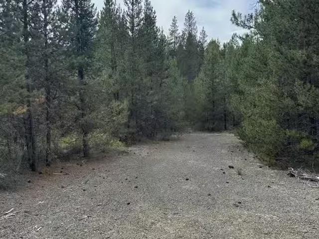 137908 MANZANITA ST, GILCHRIST, OR 97737 Vacant Land For Sale.