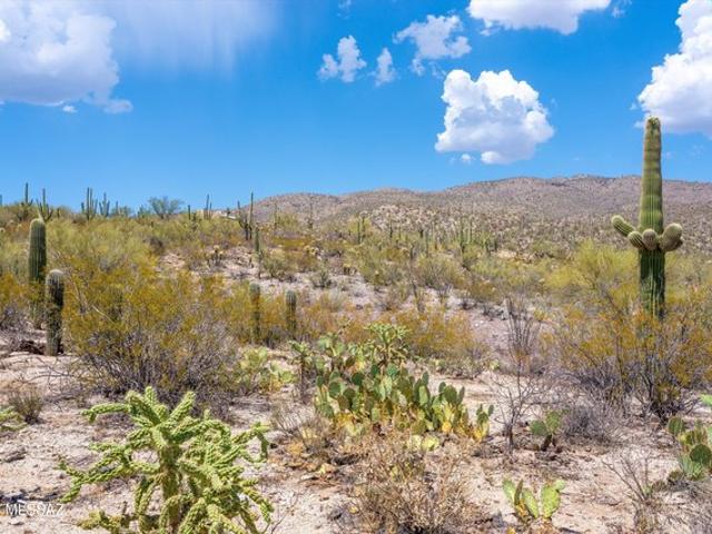 13701 E Placita Nido Del Aguila Unit 8, Tucson, AZ 85749