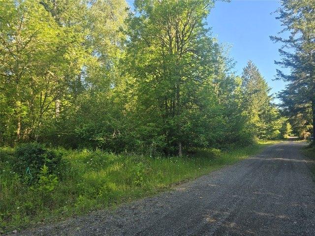 13701 Starflower Ln SE Lot 1, Yelm, WA 98597