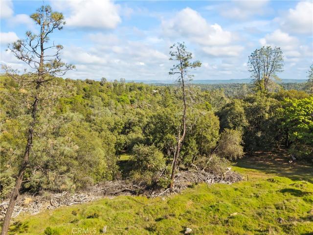 1371 Moccasin Trail, Placerville, CA 95667 | MLS #SW26052