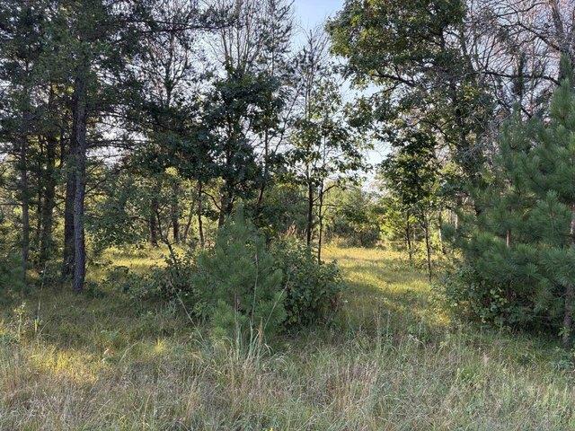 1371 Sawgrass Dr Lot 139, Nekoosa, WI 54457