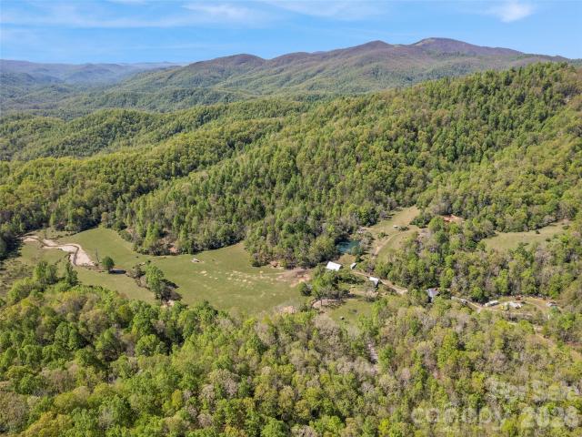 1372 Sand Branch Rd, Black Mountain, NC 28711 | MLS #4373 | Compass