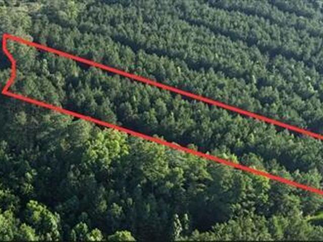 137 Cutter Bay Way, Bayboro, NC 28515 | MLS #100543