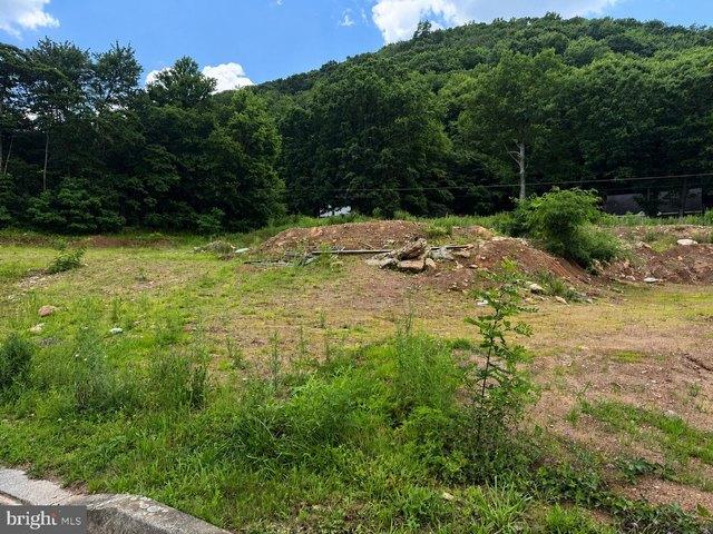 137 and 139 Willow St, Gordon, PA 17936
