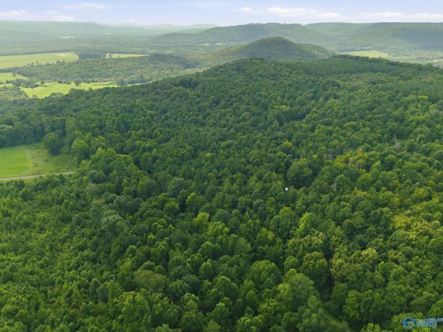 137 Acres Ausby Light Road