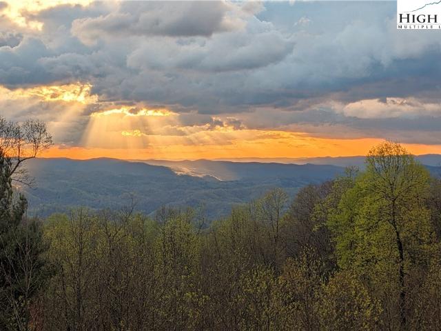 137 Burningbush Trail