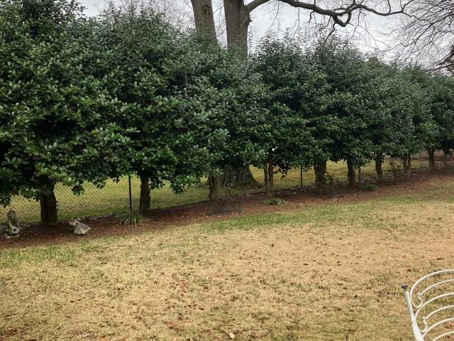 137 Dogwood Lane