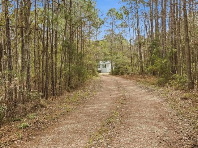 137 Dickson Bay Rd, Panacea, FL 32346