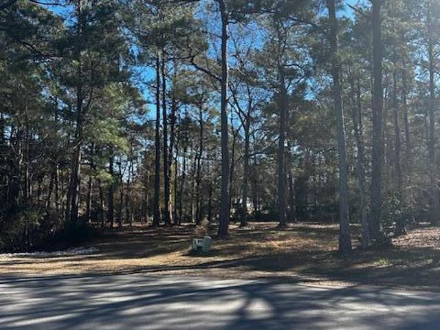 137 Eagle Ct SW, Supply, NC 28462 | MLS #100551 | Compass