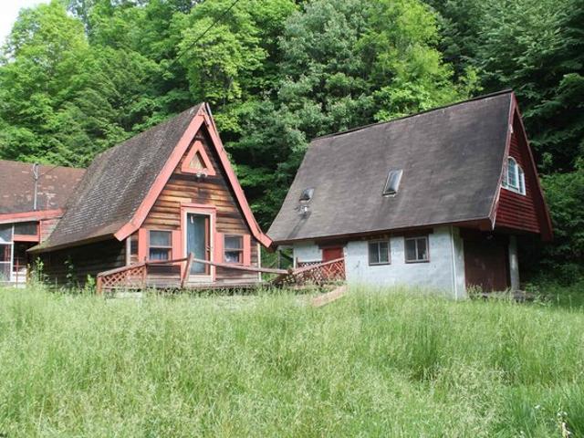 137 Hodam Creek Rd, Hacker Valley, WV 26222