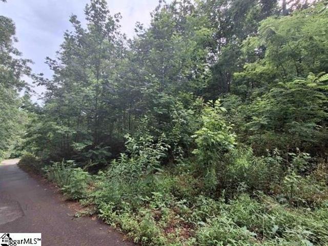 137 High Top Dr, Pickens, SC 29671