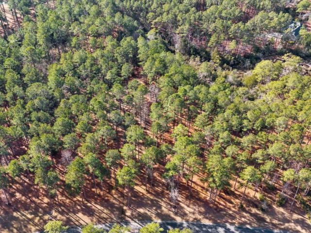 137 Ocracoke Drive # Lot 31