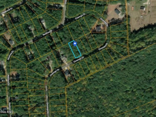 137 Oswego Dr, Louisburg, NC 27549 | MLS #100559 | Compass