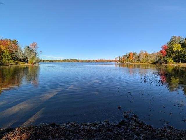 137 Loon Cv, Stetson, ME 04488