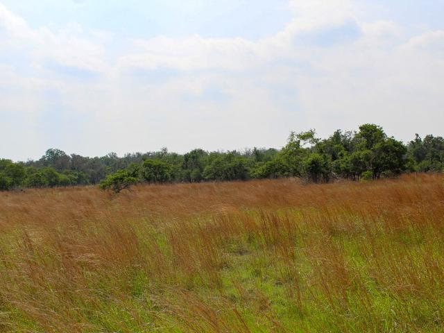 137 Lipan Loop, Unit 17, Harper, TX 78631 | MLS #96579