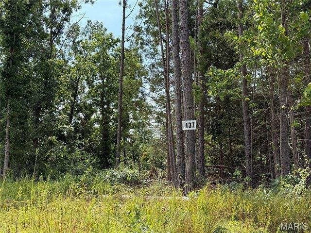 137 Madison # 410, Fredericktown, MO 63645