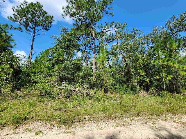 137 Marion St, Florahome, FL 32140