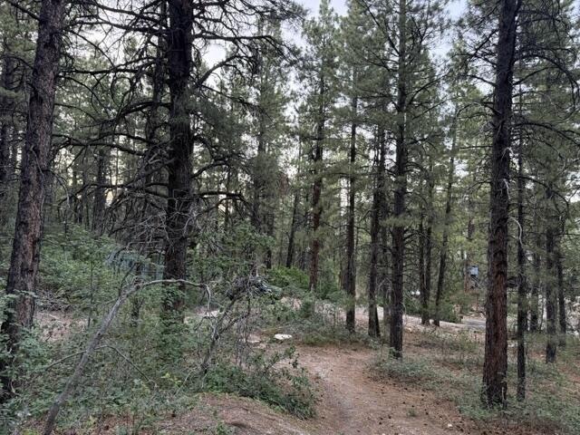 137 N Kolob Pines Dr, Kolob, UT 84767