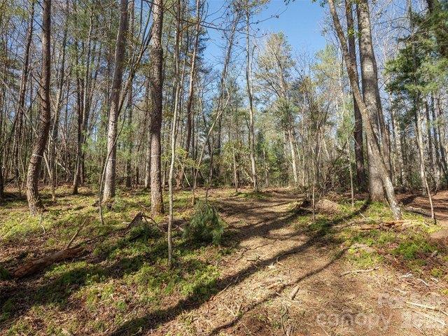 137 Nancy Ashworth Ln Unit 13, Fairview, NC 28730