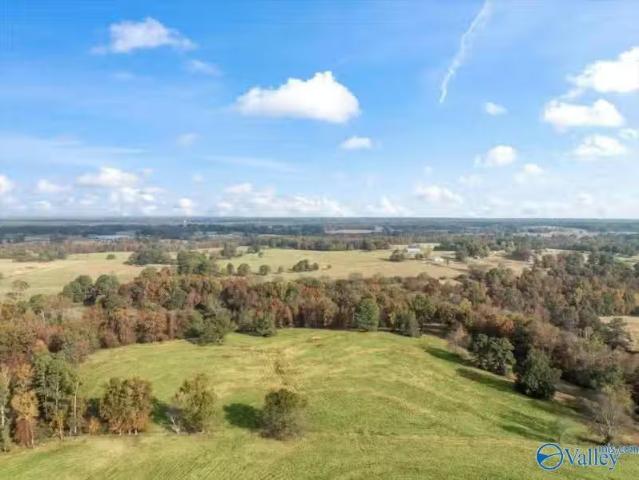 137 NICOLE RD, BOAZ, AL 35956 Vacant Land For Sale MLS# 21874.